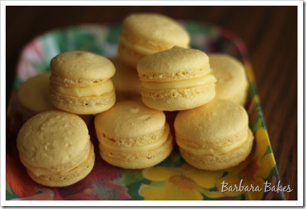 MACTWEETS: MacAttack 10... a round-up of the Summer Flick!